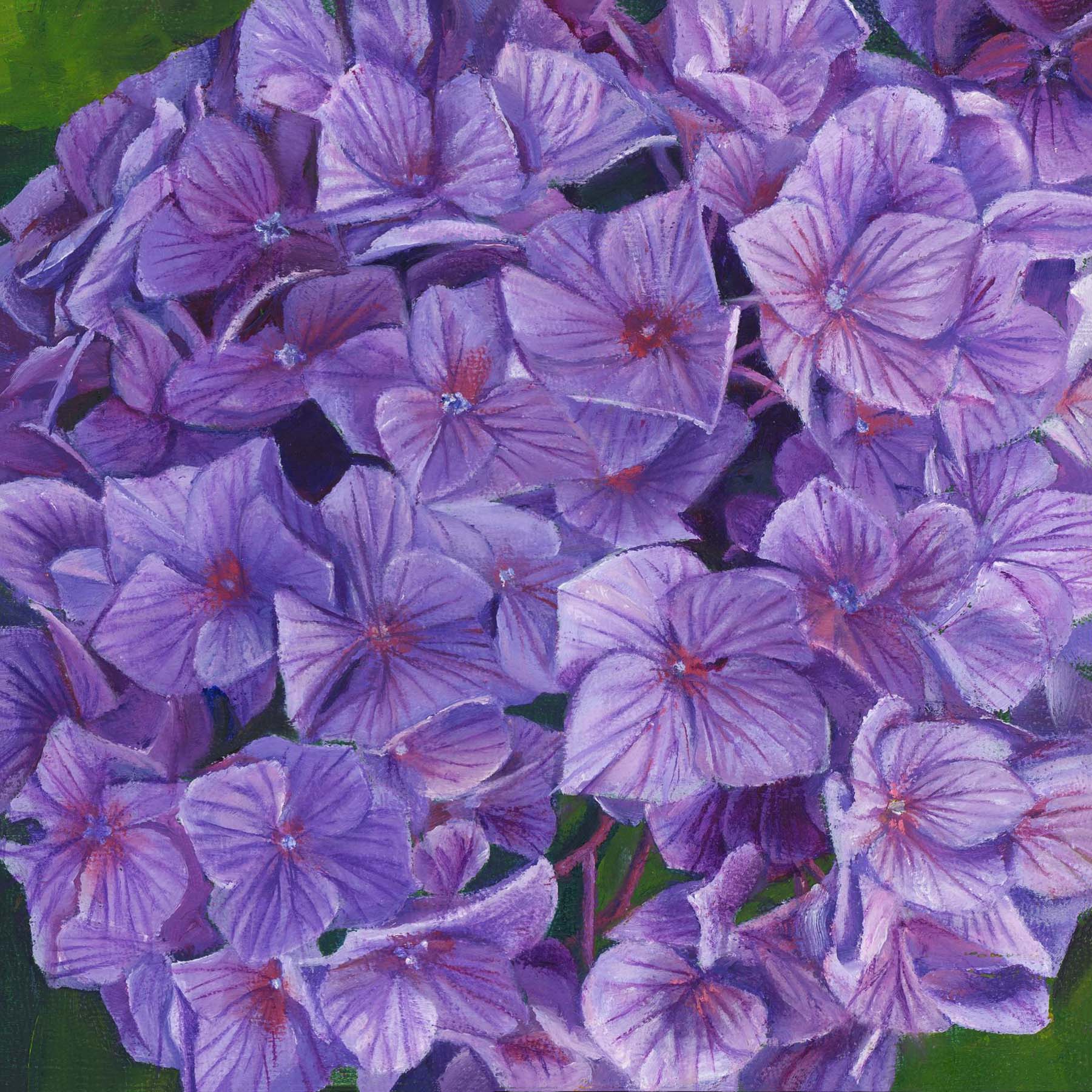 Roeser Flower Roeserart
